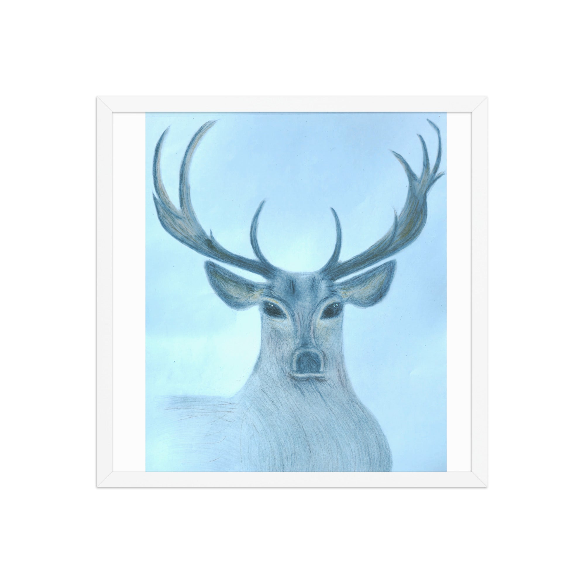 CANVASS – prints of art nush75